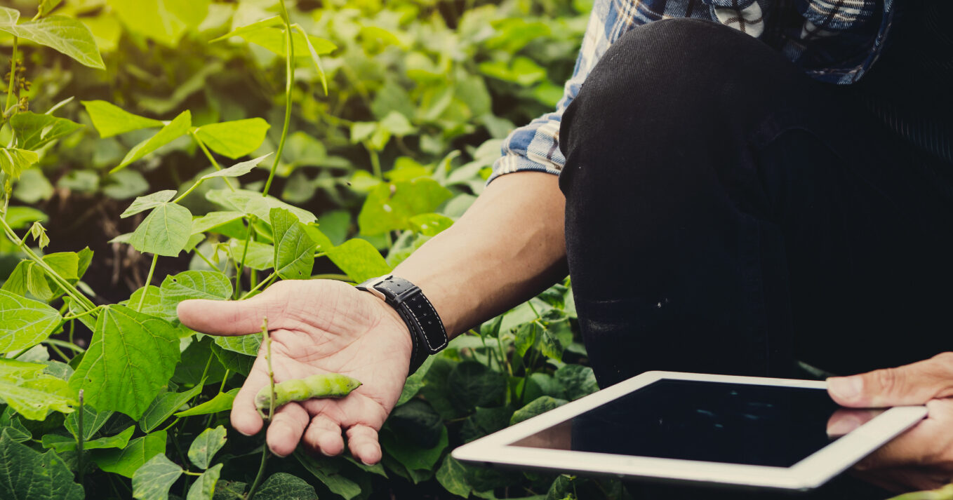 Ammonium Sulfate Fertilizer | NeuAG - Growing Together.